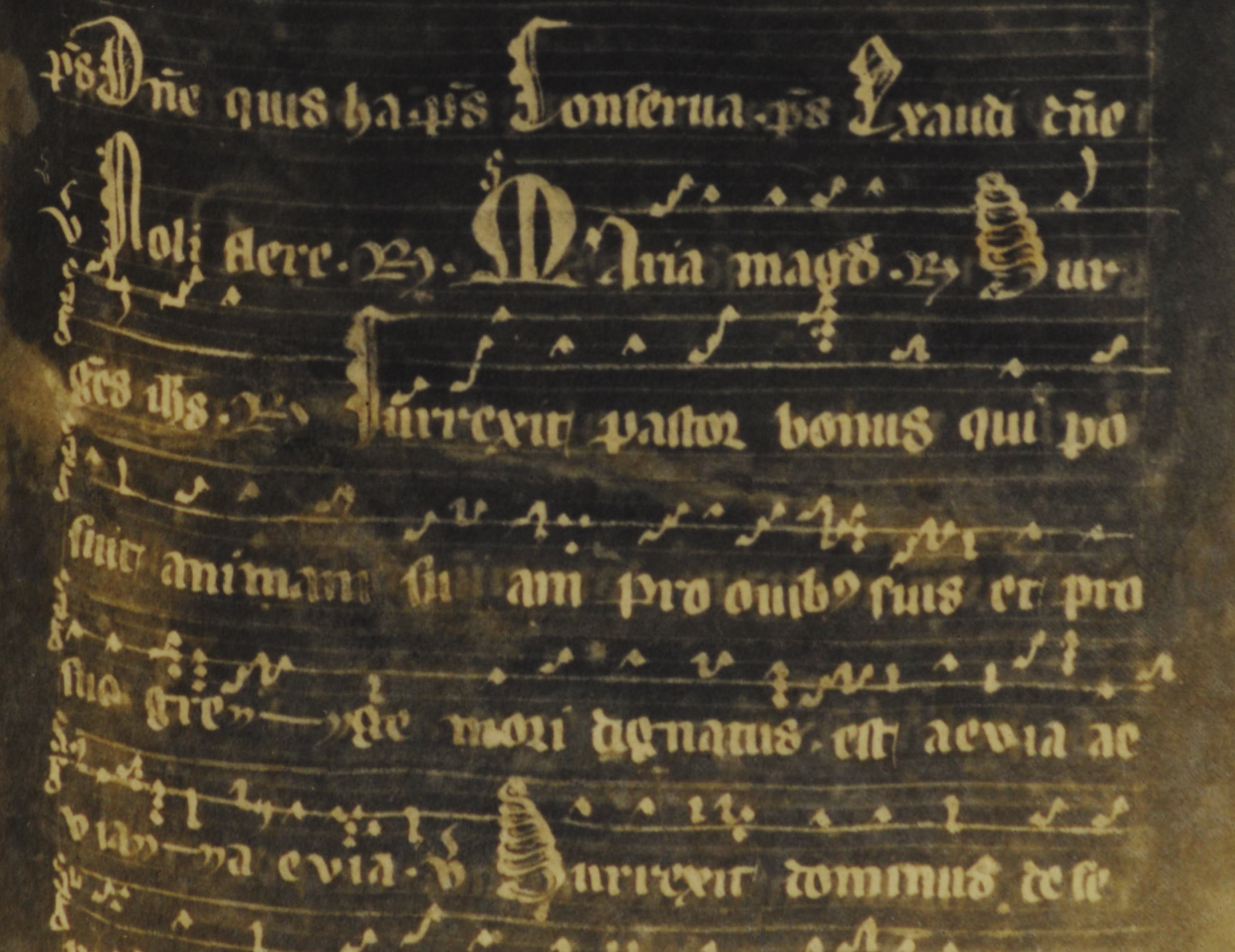 Products – Odratek